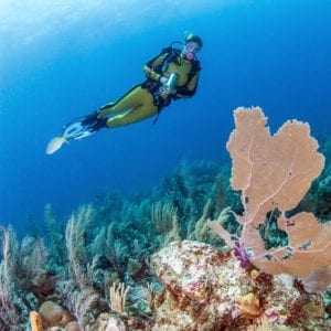 Itza Resort 1 of the Best Dive Resorts in Belize Lighthouse Reef